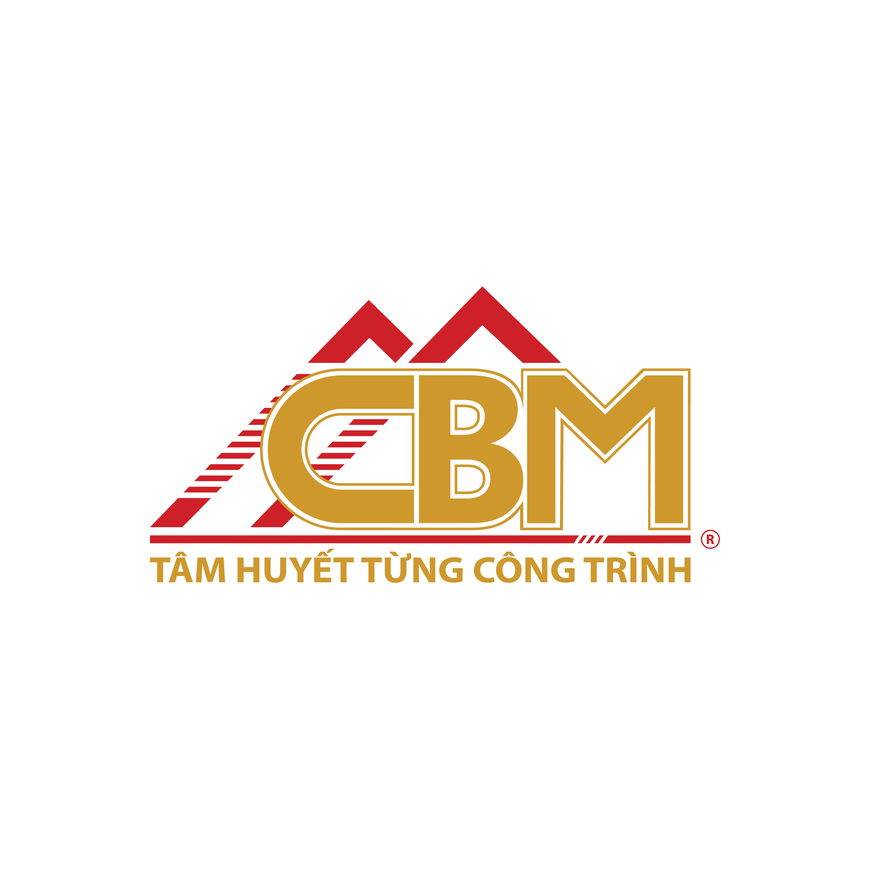 HỒ SƠ NĂNG LỰC CBM